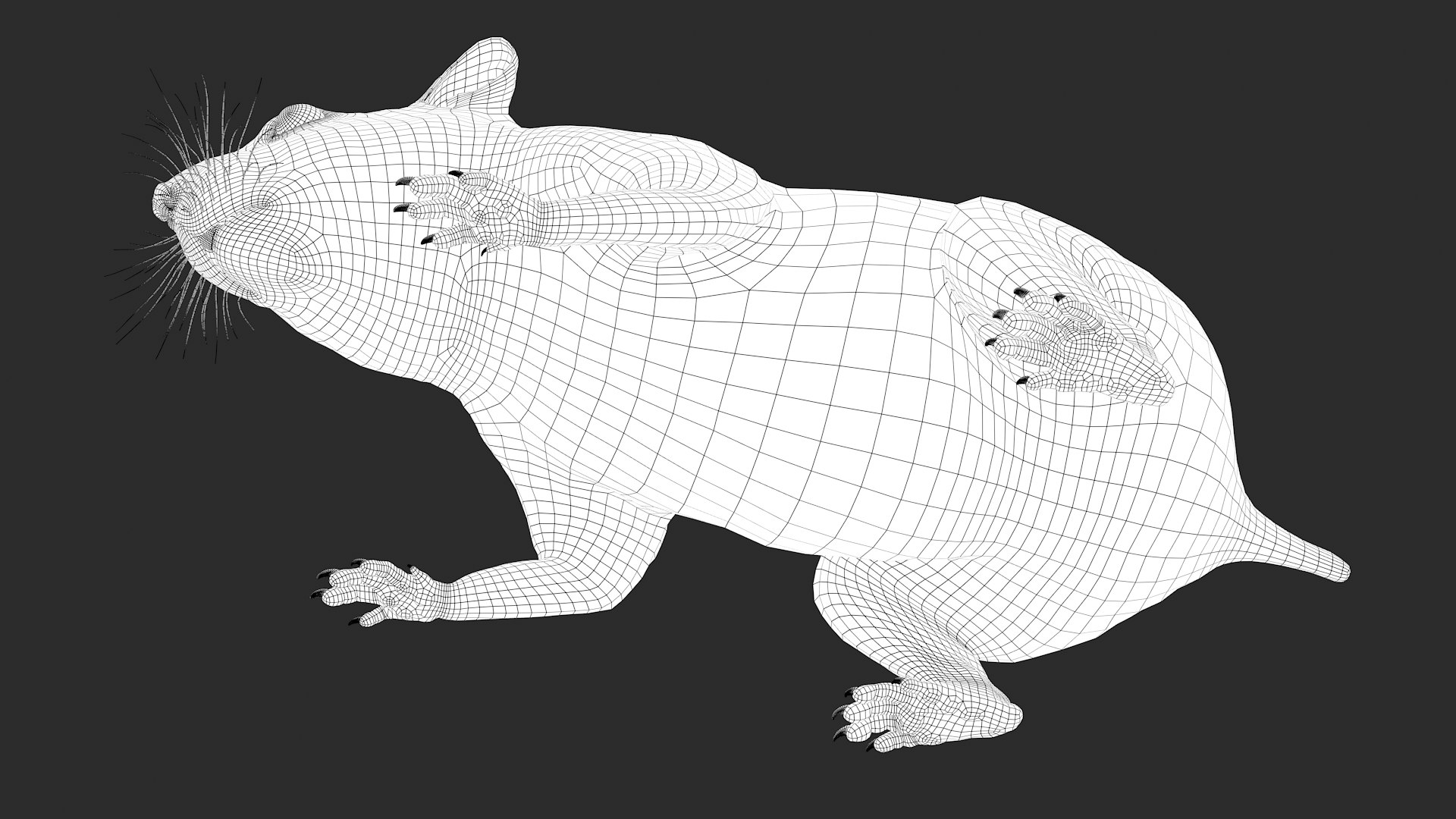 Hamster Animal Rodent Model - TurboSquid 1658809