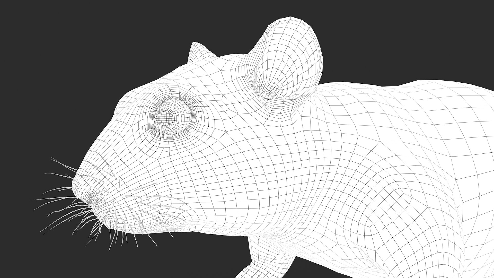 Hamster Animal Rodent Model - TurboSquid 1658809