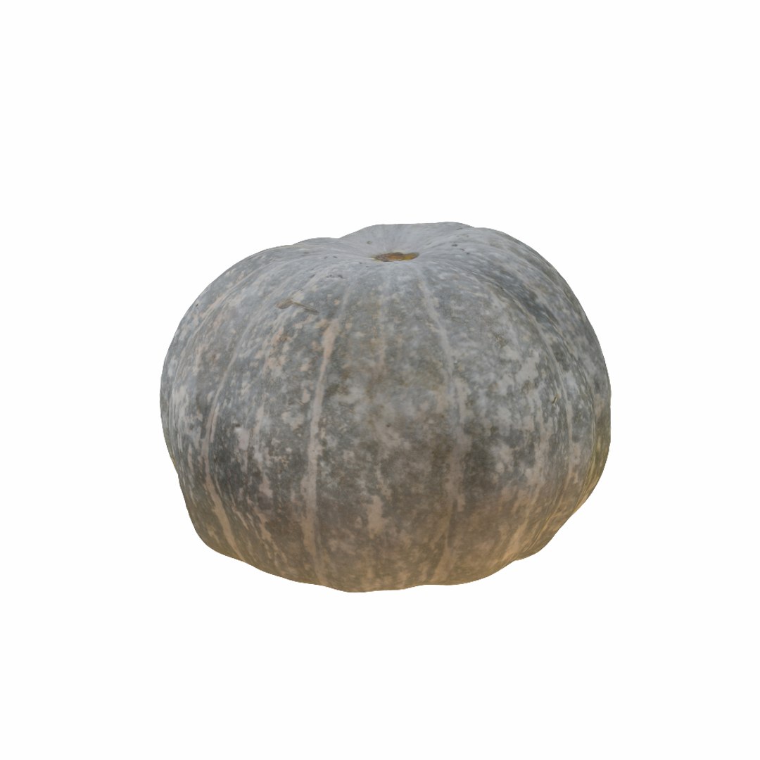3D Scan Pumpkin - TurboSquid 1227223