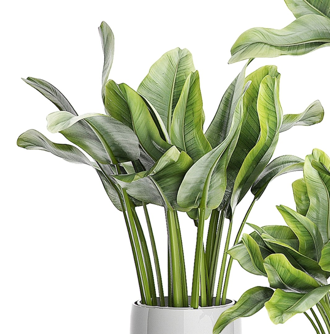 3D plant nature flora model - TurboSquid 1630646