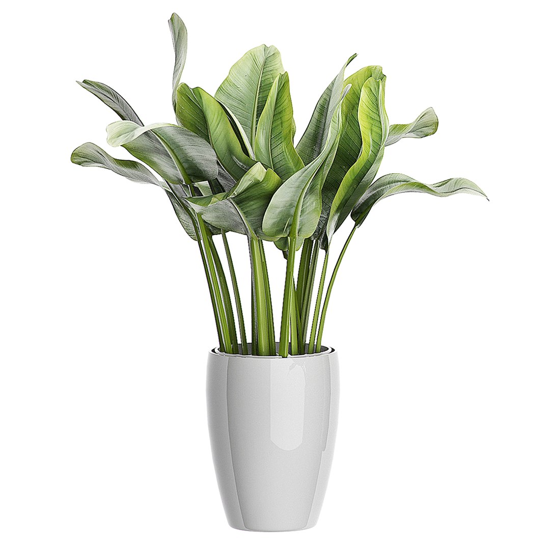 3D plant nature flora model - TurboSquid 1630646
