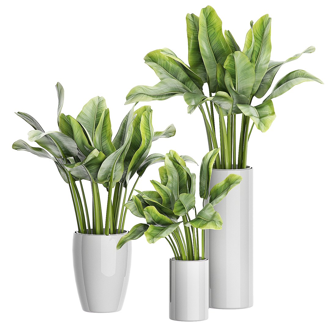 3D plant nature flora model - TurboSquid 1630646