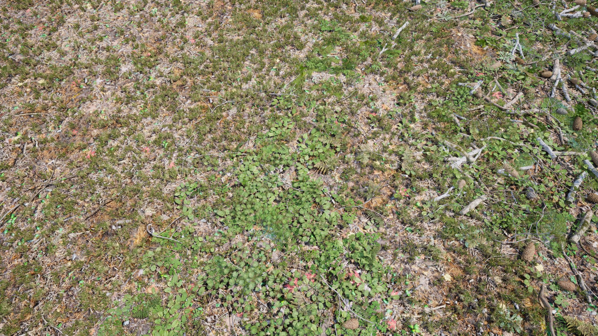 3D Ground Cover Foliage - TurboSquid 2038237