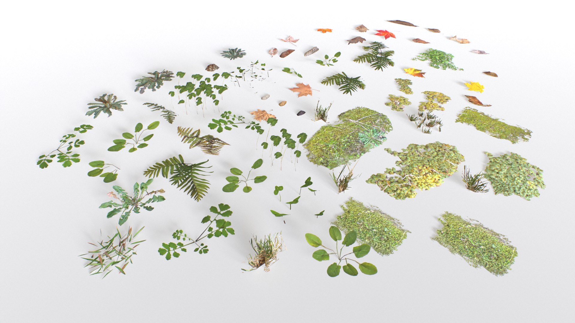 3D Ground Cover Foliage - TurboSquid 2038237