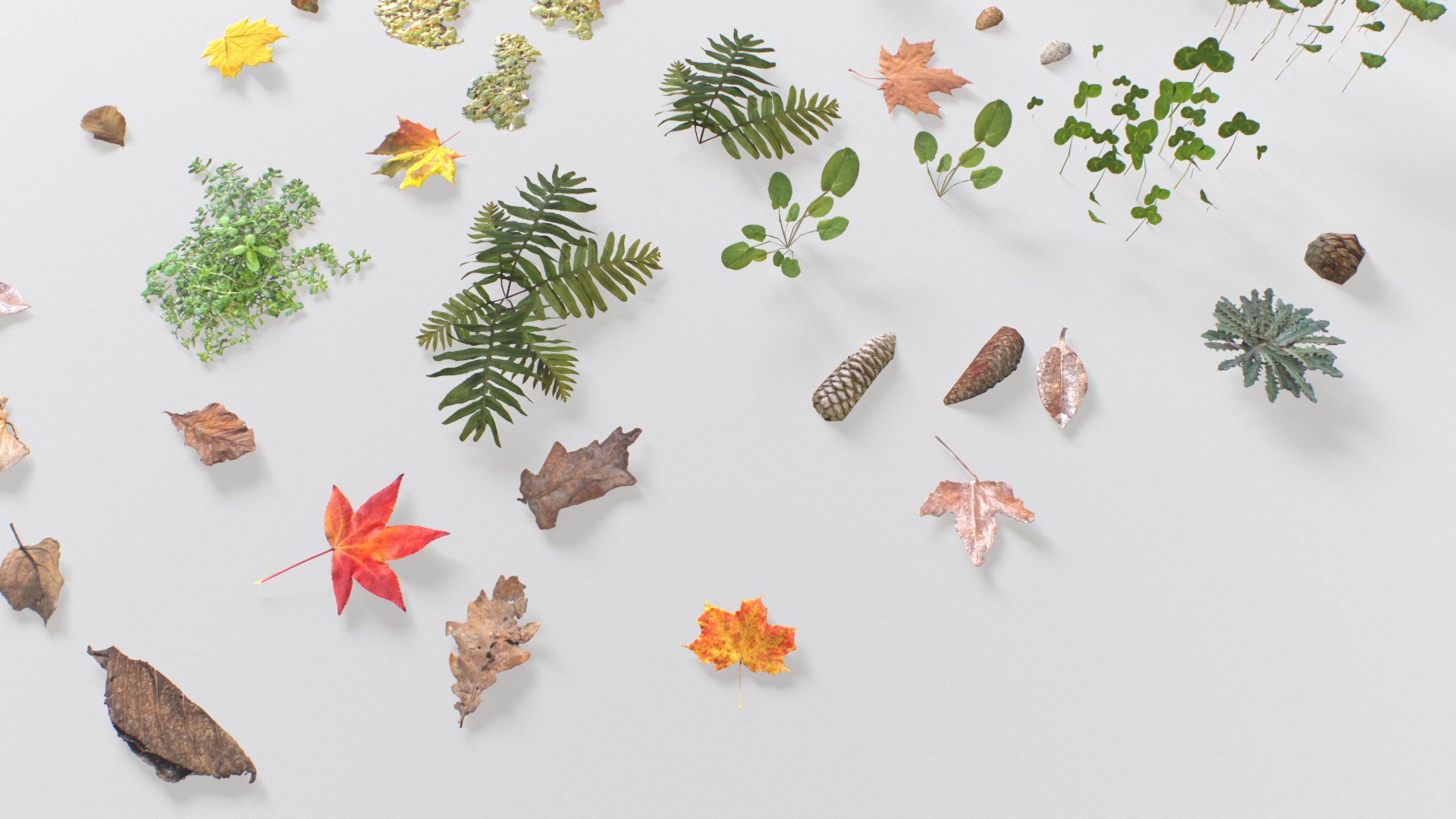 3D Ground Cover Foliage - TurboSquid 2038237