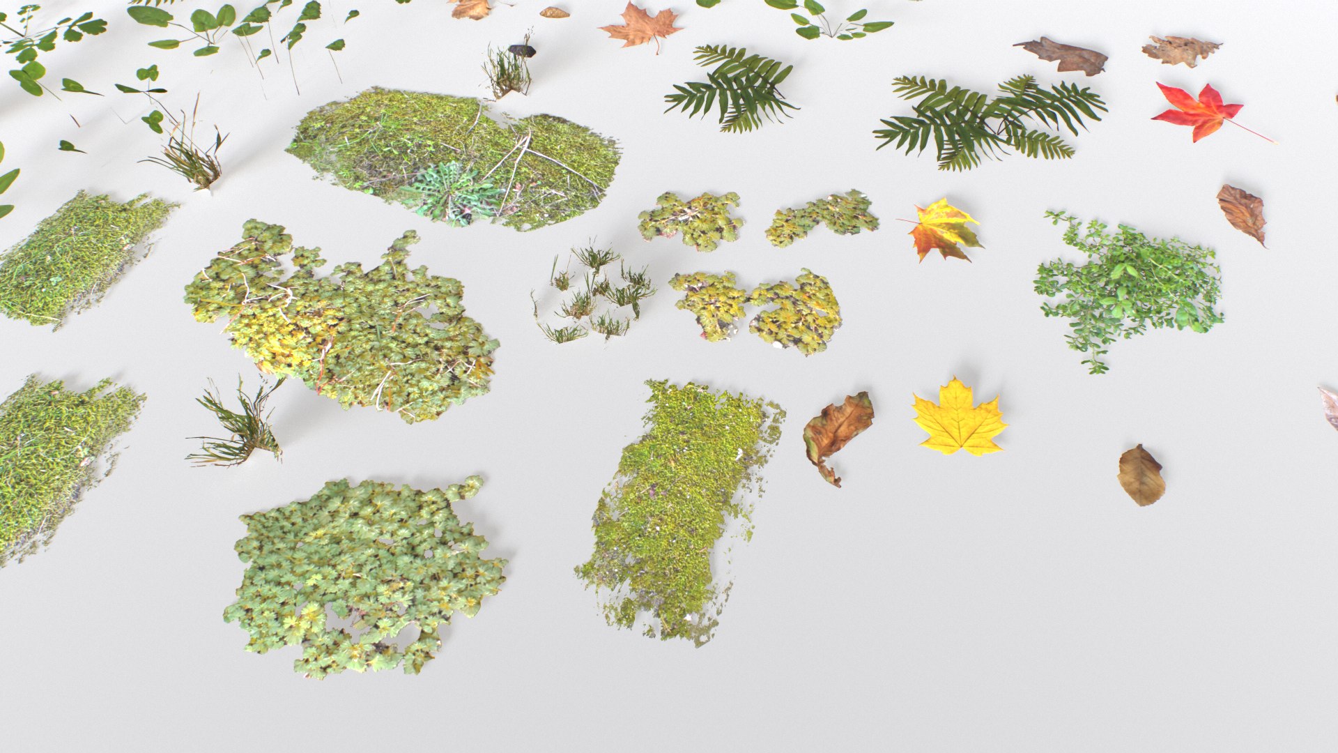 3D Ground Cover Foliage - TurboSquid 2038237
