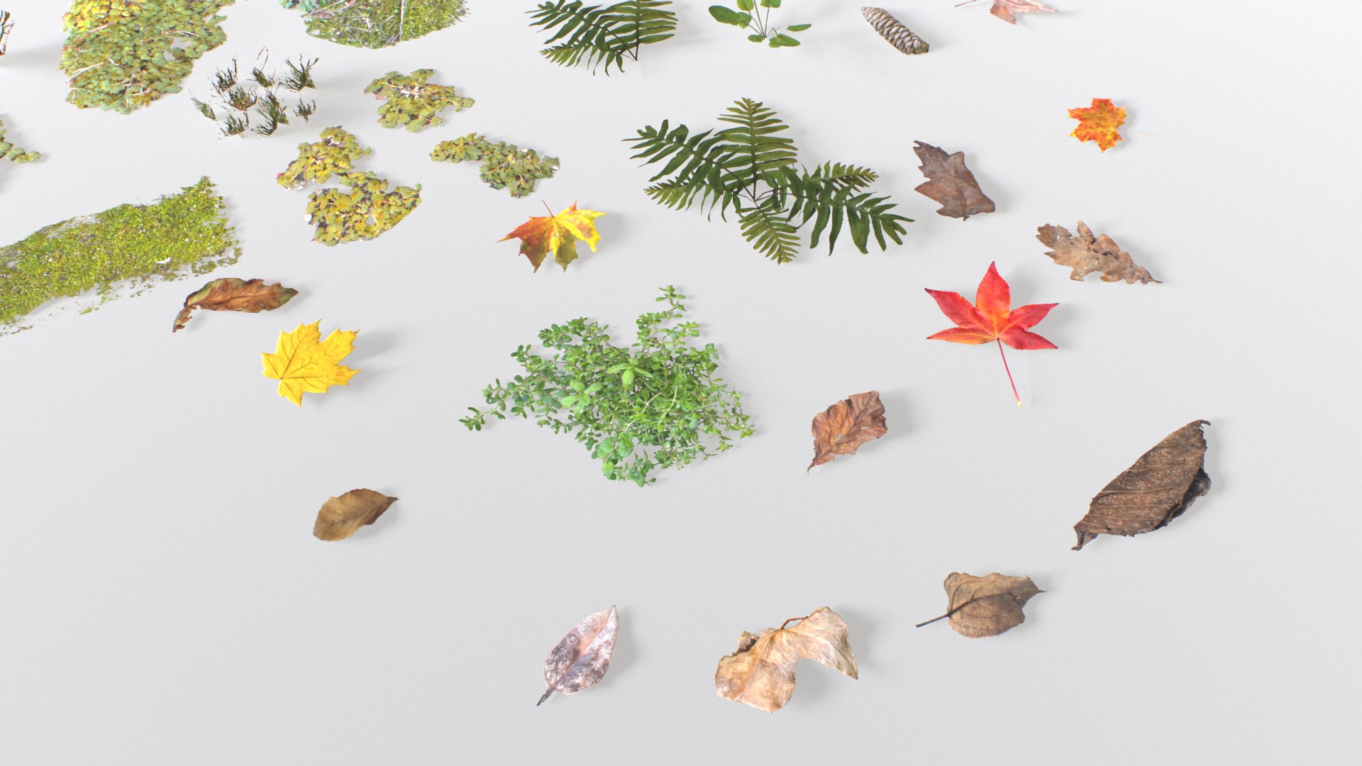 3D Ground Cover Foliage - TurboSquid 2038237