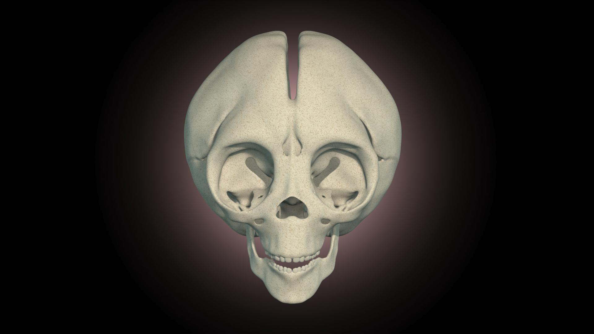 skull alien 3d model