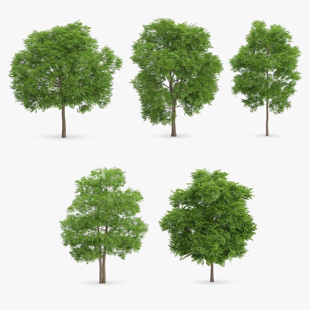Wild Service Trees 3d Max
