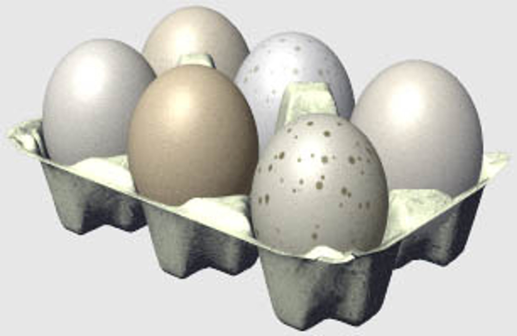 3d Dozen Eggs Model