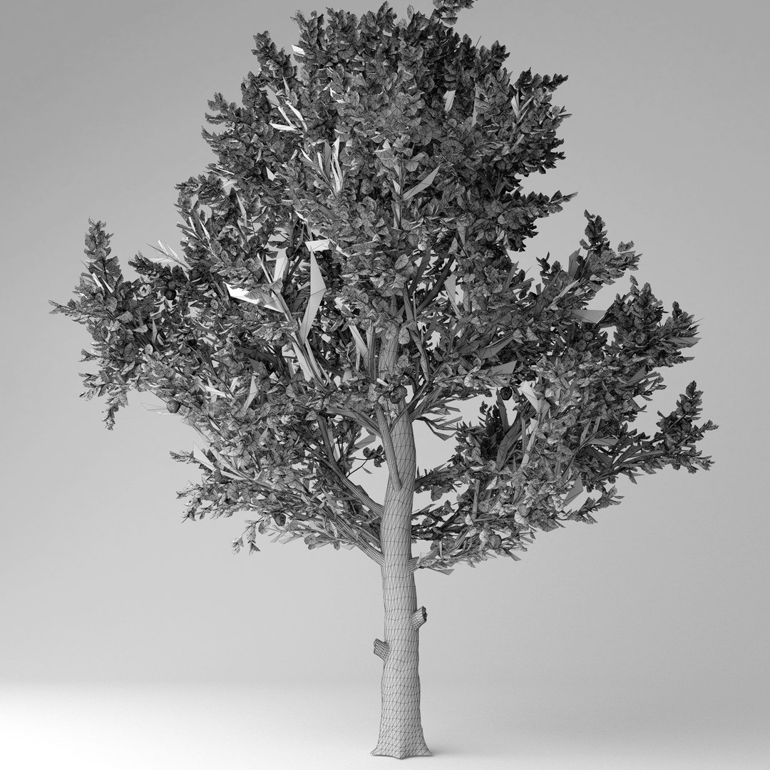 3D Model Apple Tree - TurboSquid 1534239