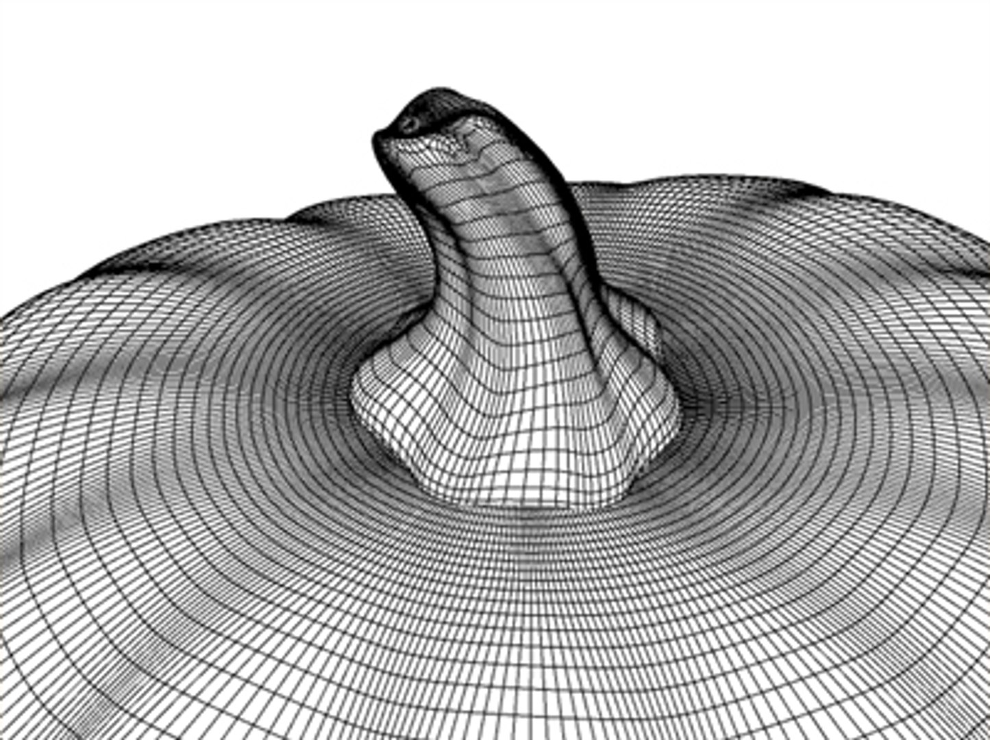 3ds max pumpkin vegetable