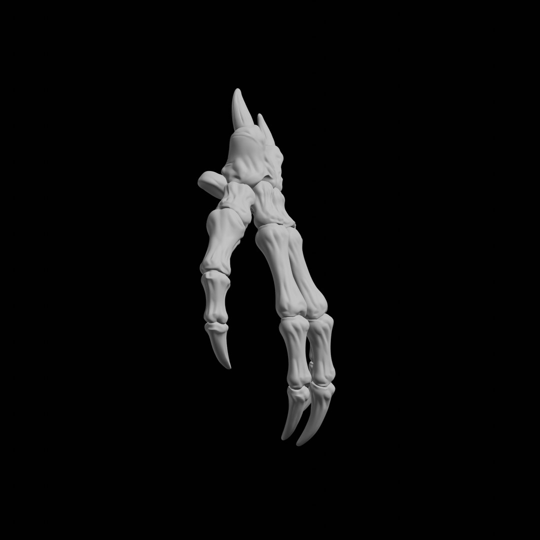 3D Bone Dragon Claw 3D Print Model Model - TurboSquid 2517647