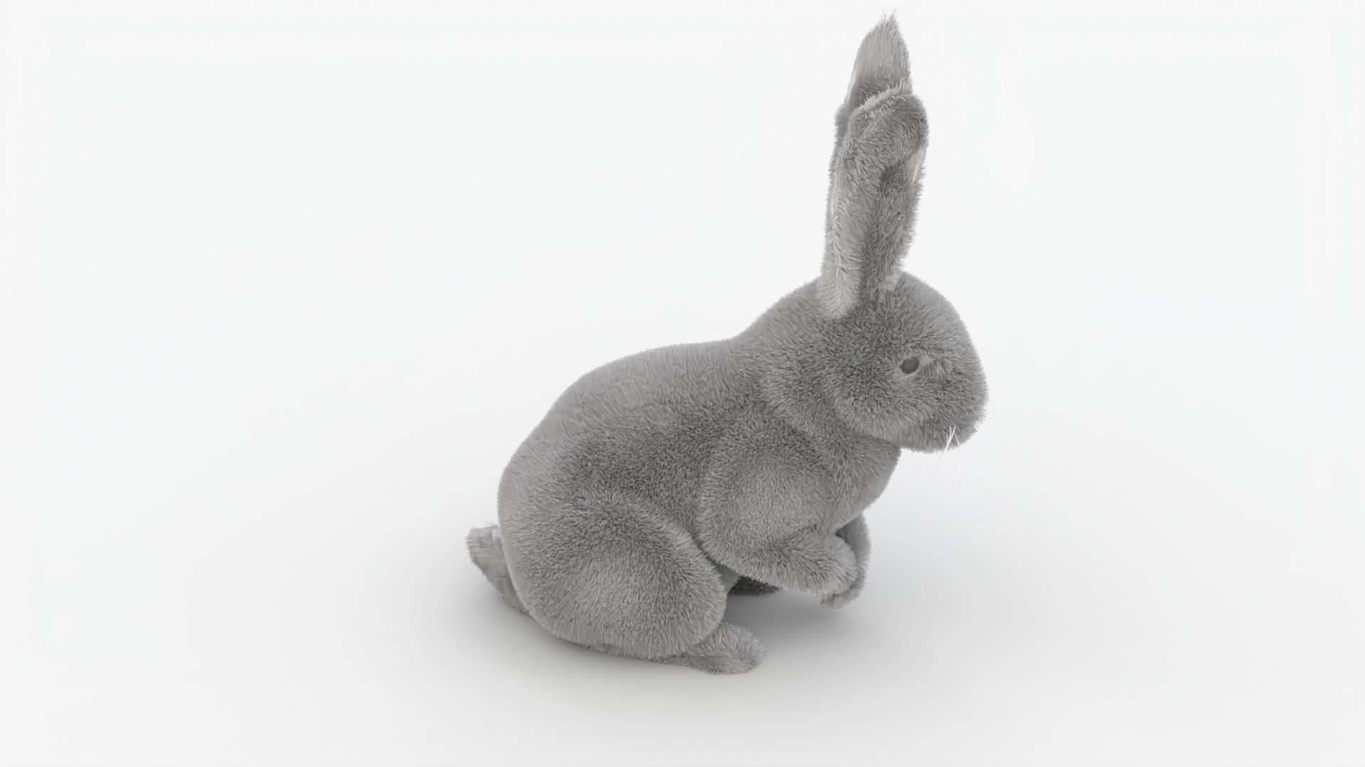 Dirty Rigged Rabbit With XGEN Fur For MAYA Arnold 3D Model - TurboSquid ...