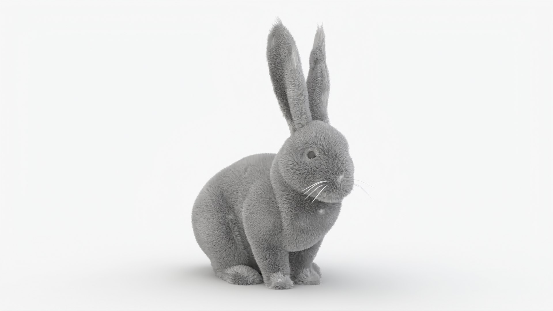 Dirty Rigged Rabbit With XGEN Fur For MAYA Arnold 3D Model - TurboSquid ...