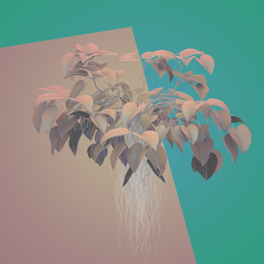 Free Pothos Model - TurboSquid 1758541