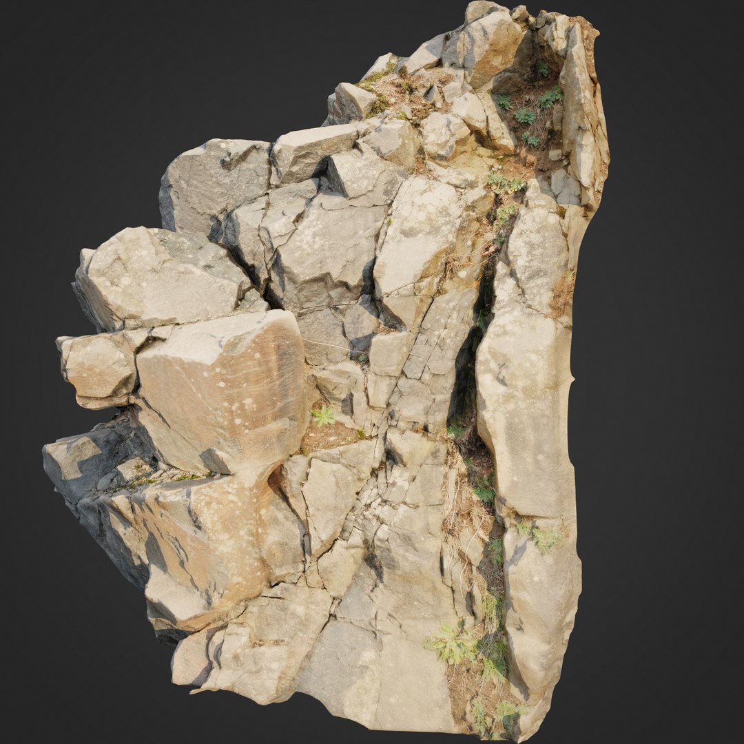 Scanned Cliff Face Model - TurboSquid 1356864