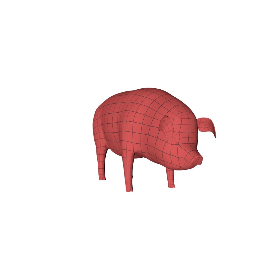 Base Mesh Pig 3d Model