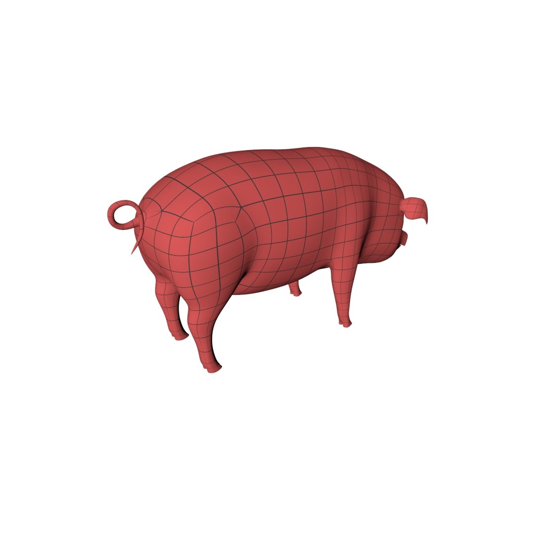Base Mesh Pig 3d Model
