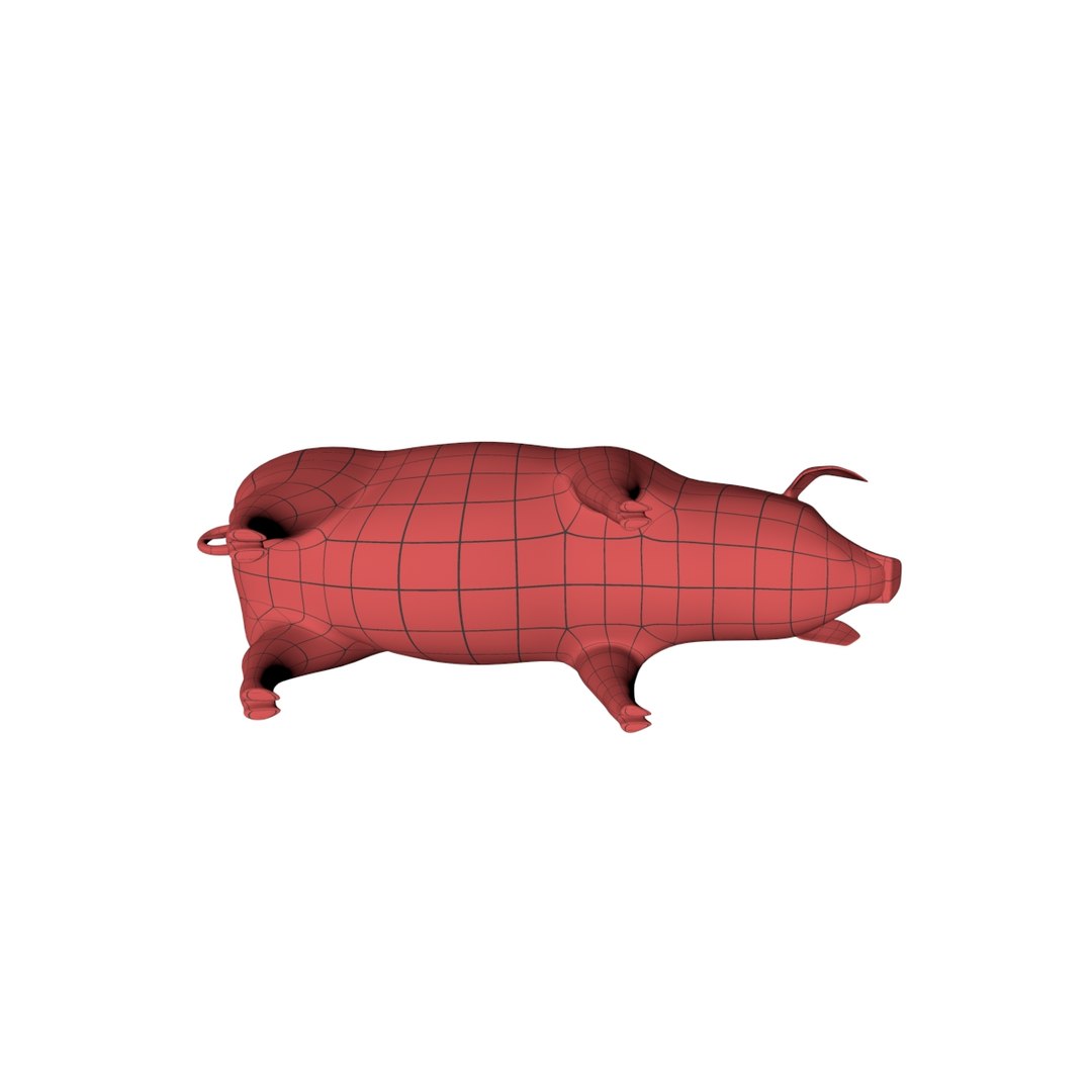 Base Mesh Pig 3d Model
