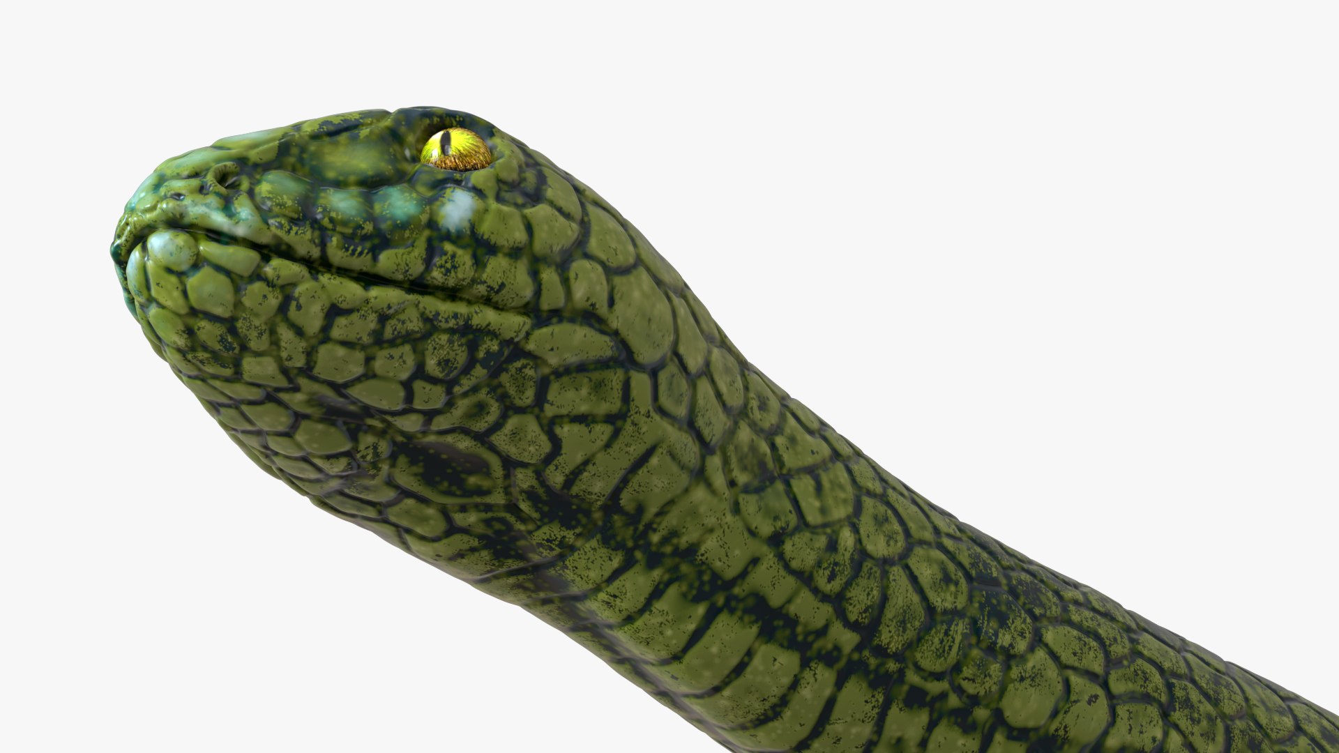 Fantastic Snake And Lizard Mix 3D Model - TurboSquid 1739320