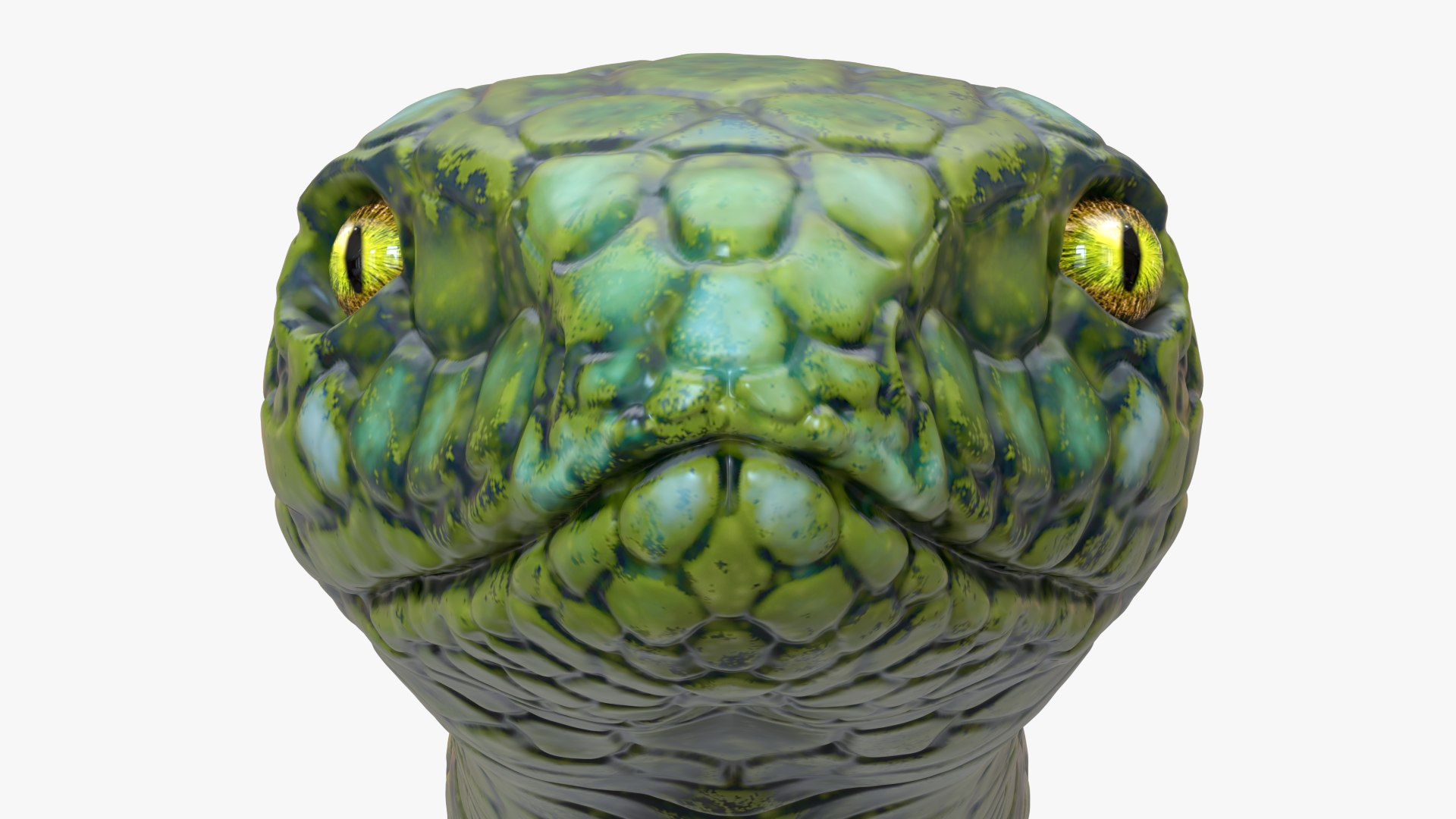 Fantastic Snake And Lizard Mix 3D Model - TurboSquid 1739320
