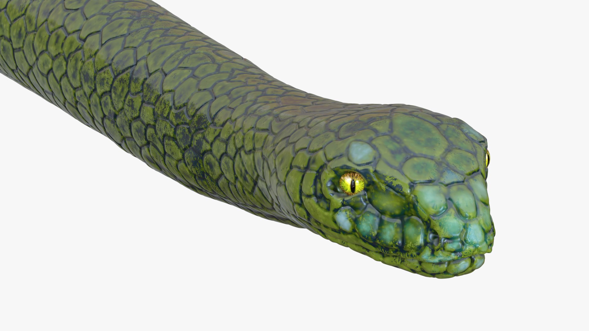Fantastic Snake And Lizard Mix 3D Model - TurboSquid 1739320