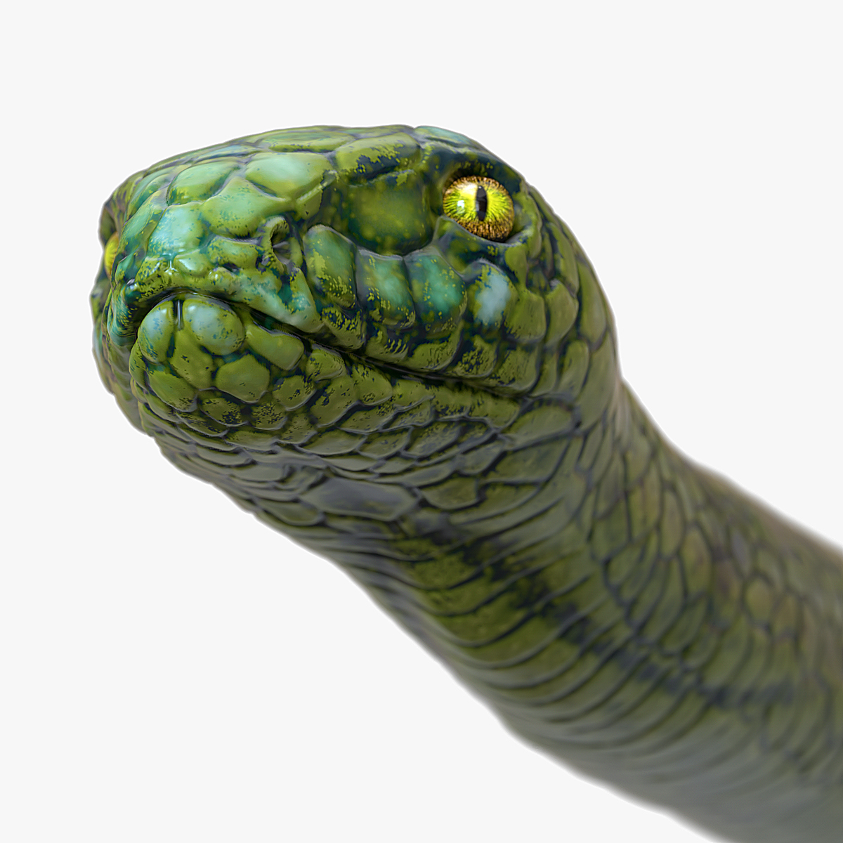 Fantastic Snake and Lizard Mix 3D model - TurboSquid 1739320