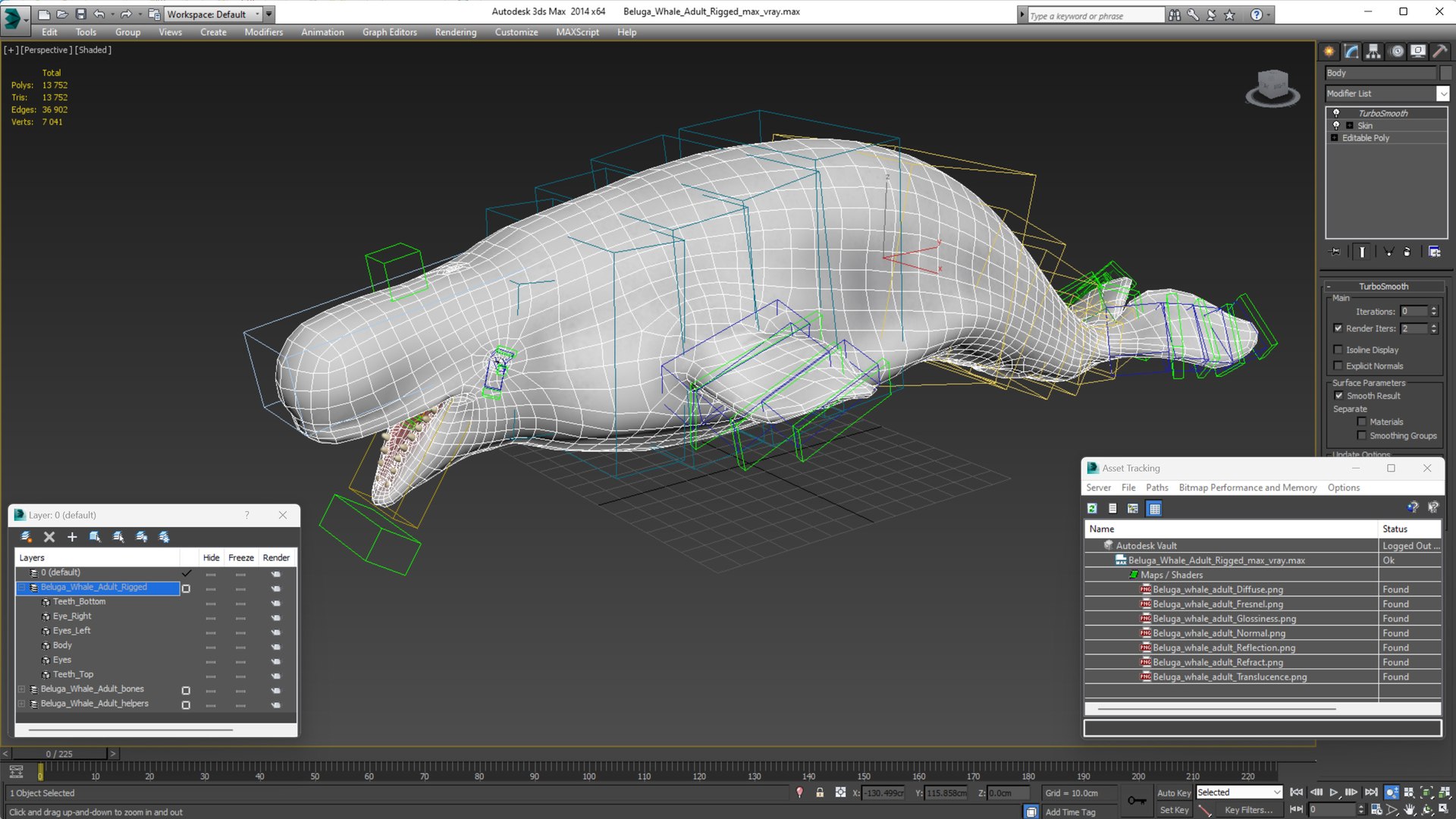 3D Beluga Whale Adult Rigged - TurboSquid 2027757