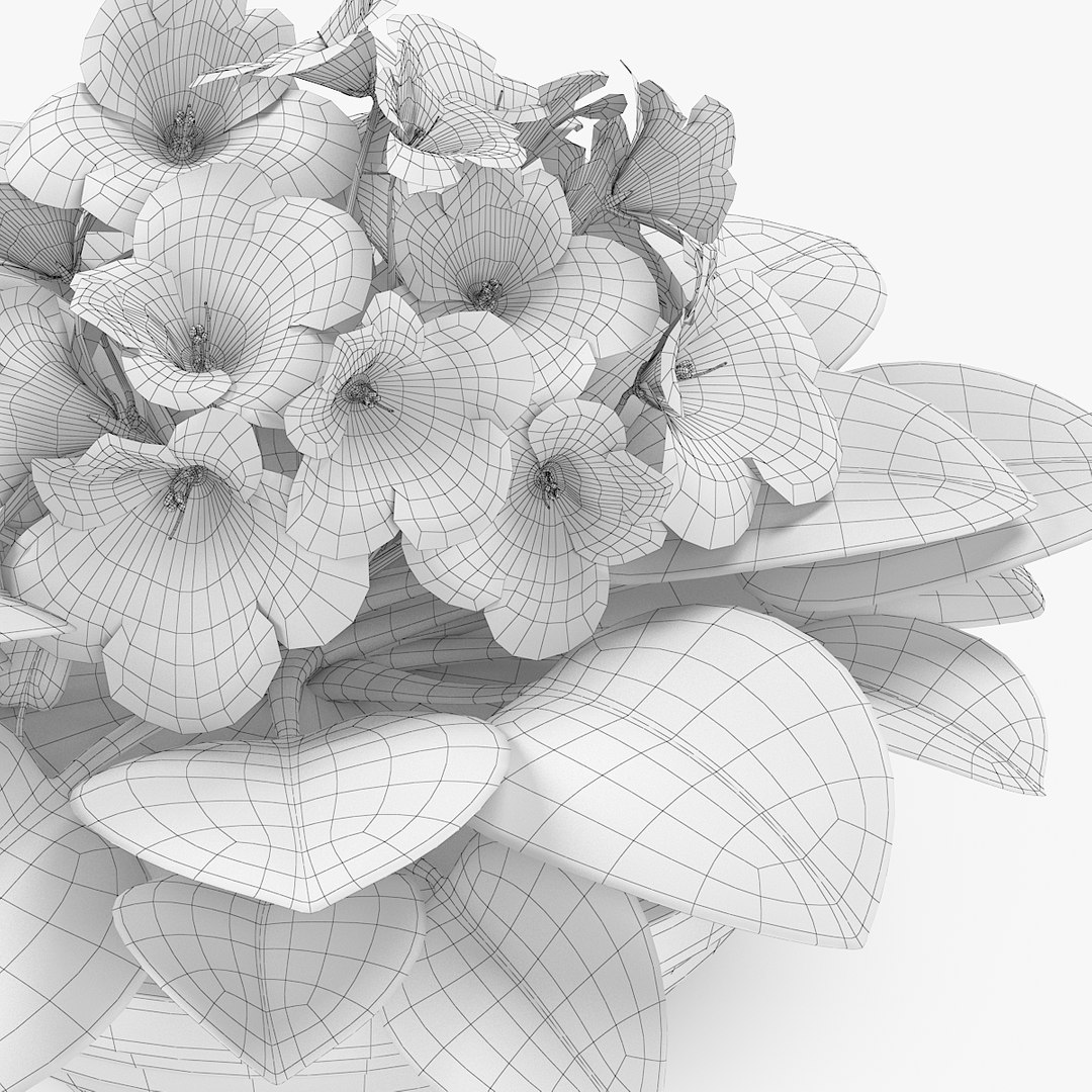 3d Model Violets Plant