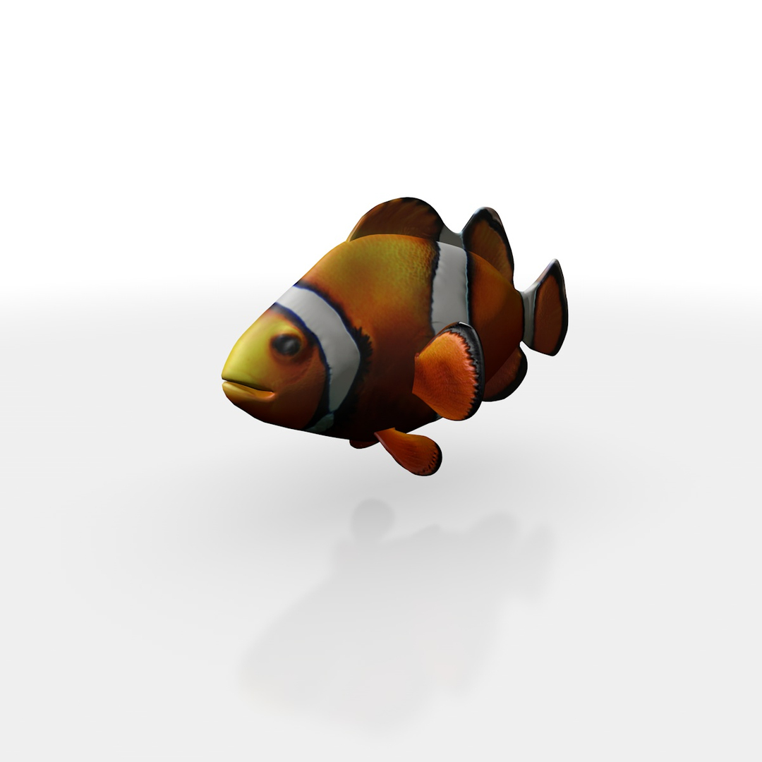 Clown Fish Model - TurboSquid 1277841