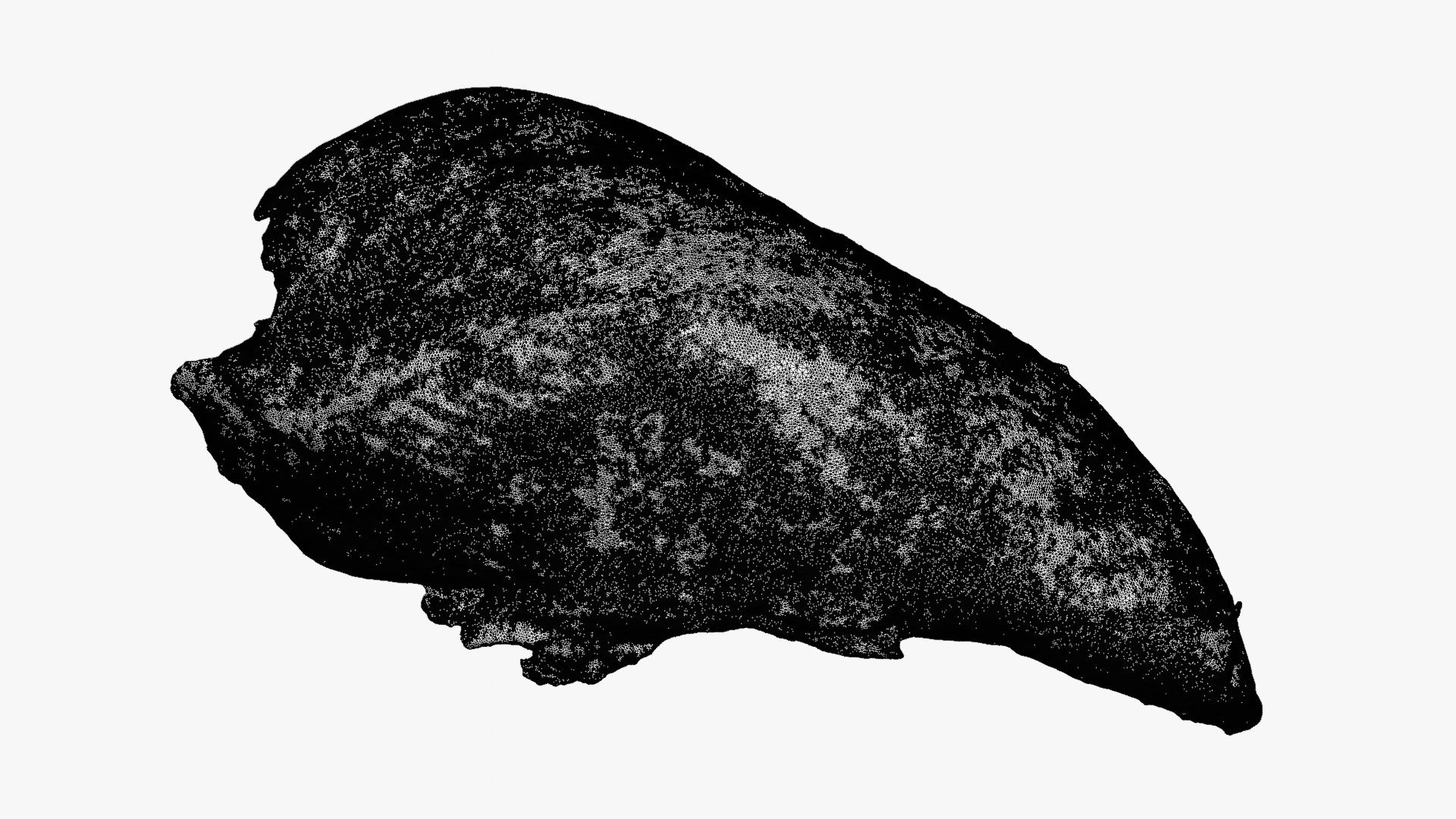 3D Roasted Chicken Breast For 3D Print - TurboSquid 2409634
