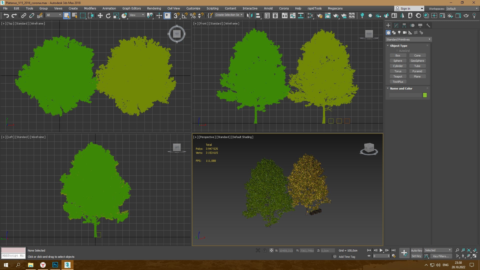 3D Plane-tree Sycamore Platanus V15 - TurboSquid 1976486
