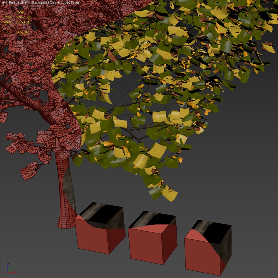 3D Plane-tree Sycamore Platanus V15 - TurboSquid 1976486
