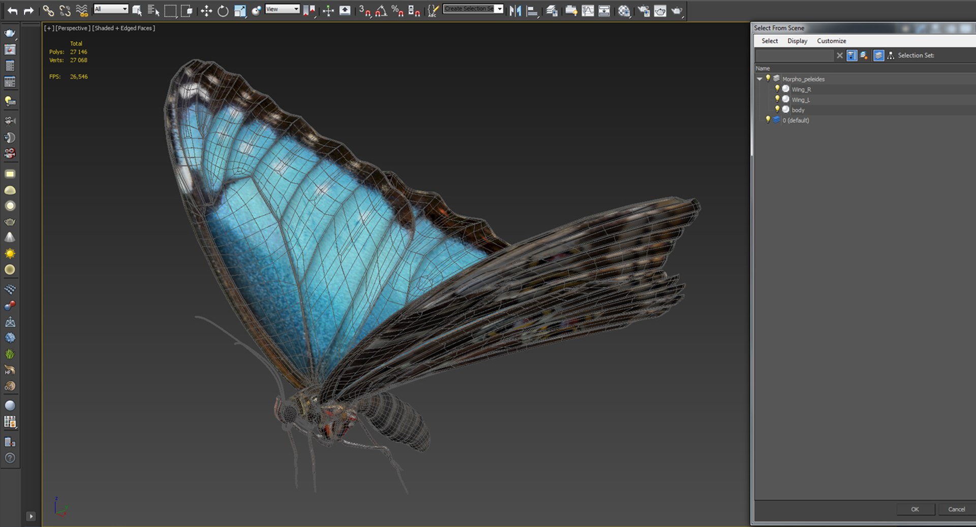 3D Common Morpho Butterfly Model - TurboSquid 1163802