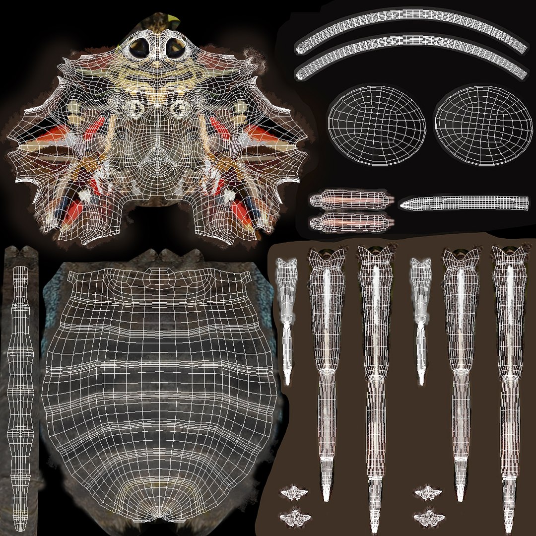 3D Common Morpho Butterfly Model - TurboSquid 1163802