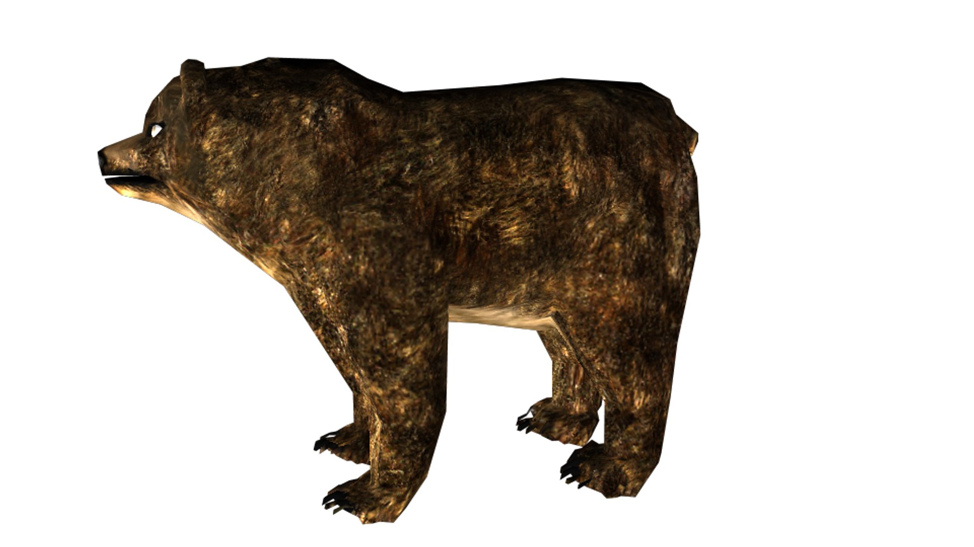 3ds Bear