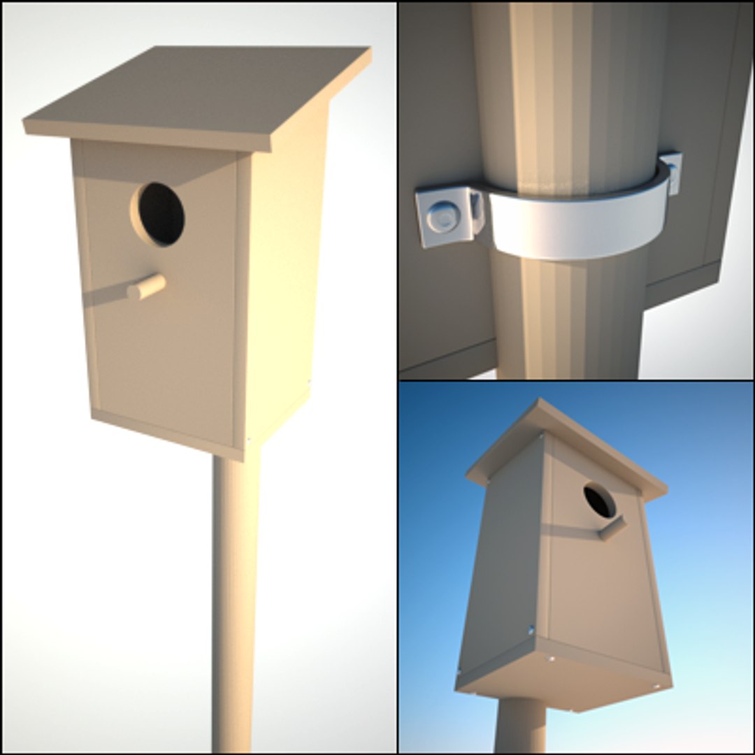 bird house 3d model