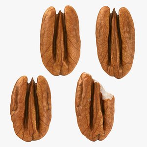 3D Pecan Models - Browse & Download Formats - TurboSquid
