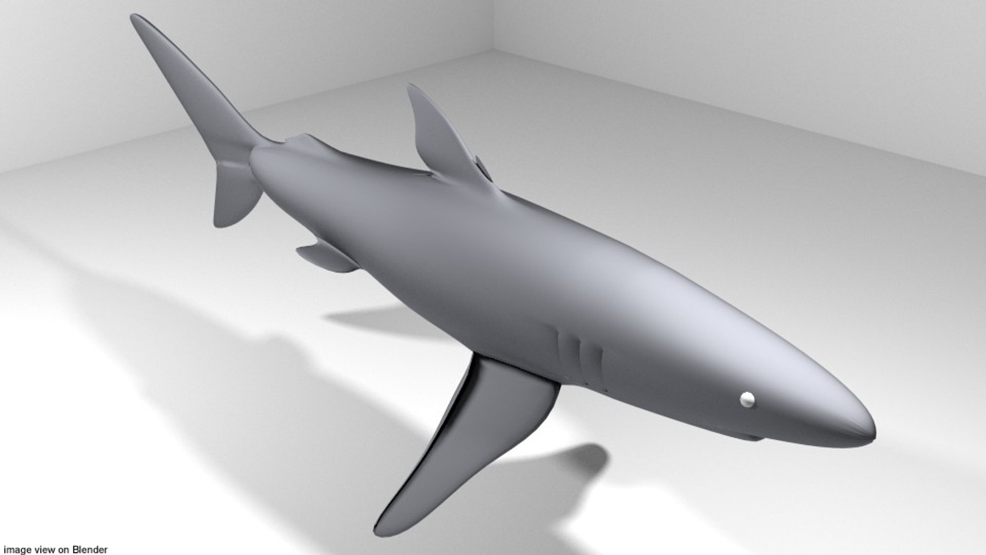 Blueshark shark 3D - TurboSquid 1171305