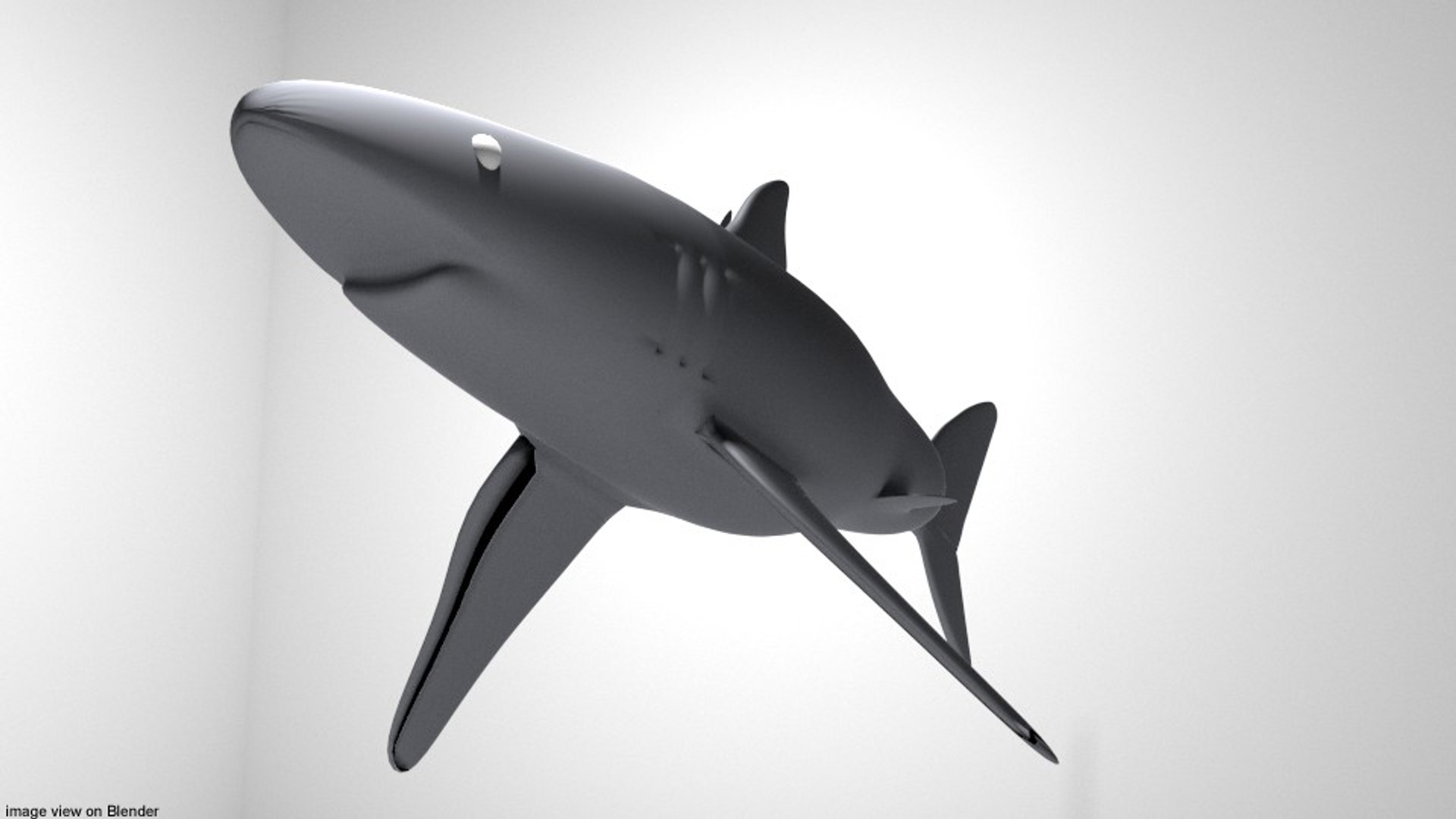Blueshark shark 3D - TurboSquid 1171305