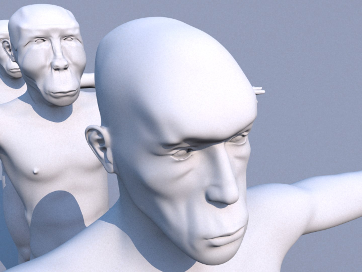 3d Human Evolution Graph Model