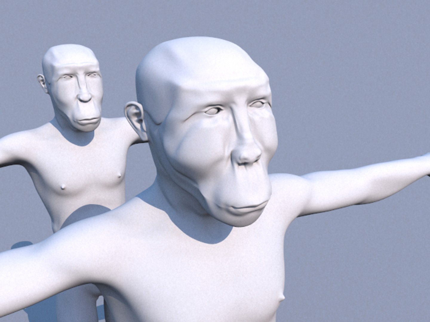3d Human Evolution Graph Model