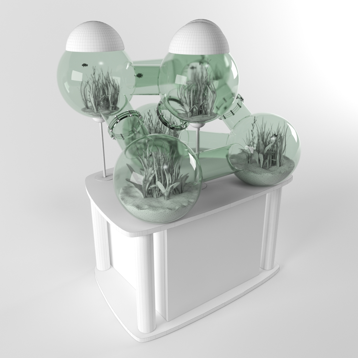 max aquarium labyrinth aqua