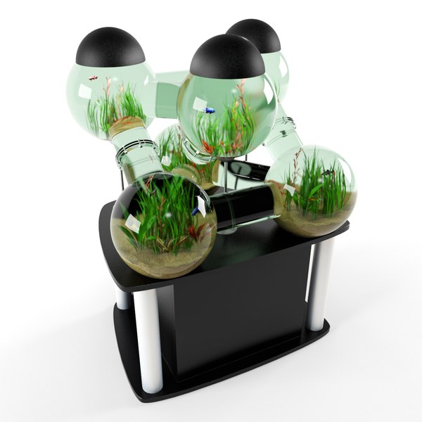 max aquarium labyrinth aqua