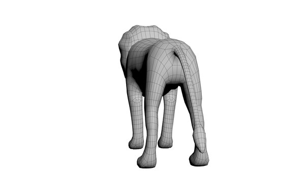 Forest Animals 3D model - TurboSquid 1782578