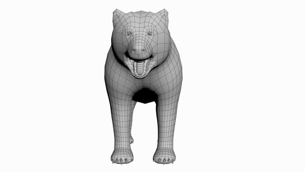 Forest Animals 3D model - TurboSquid 1782578
