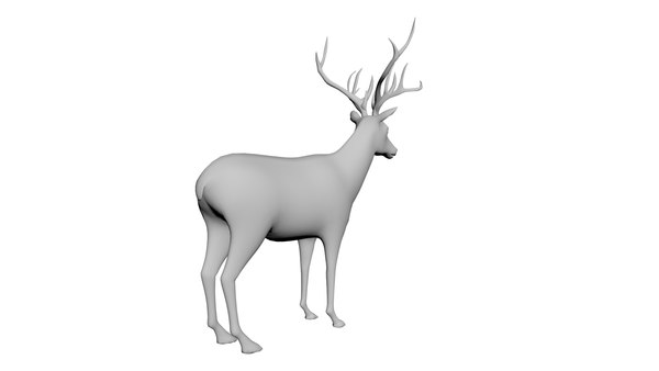 Forest Animals 3D model - TurboSquid 1782578