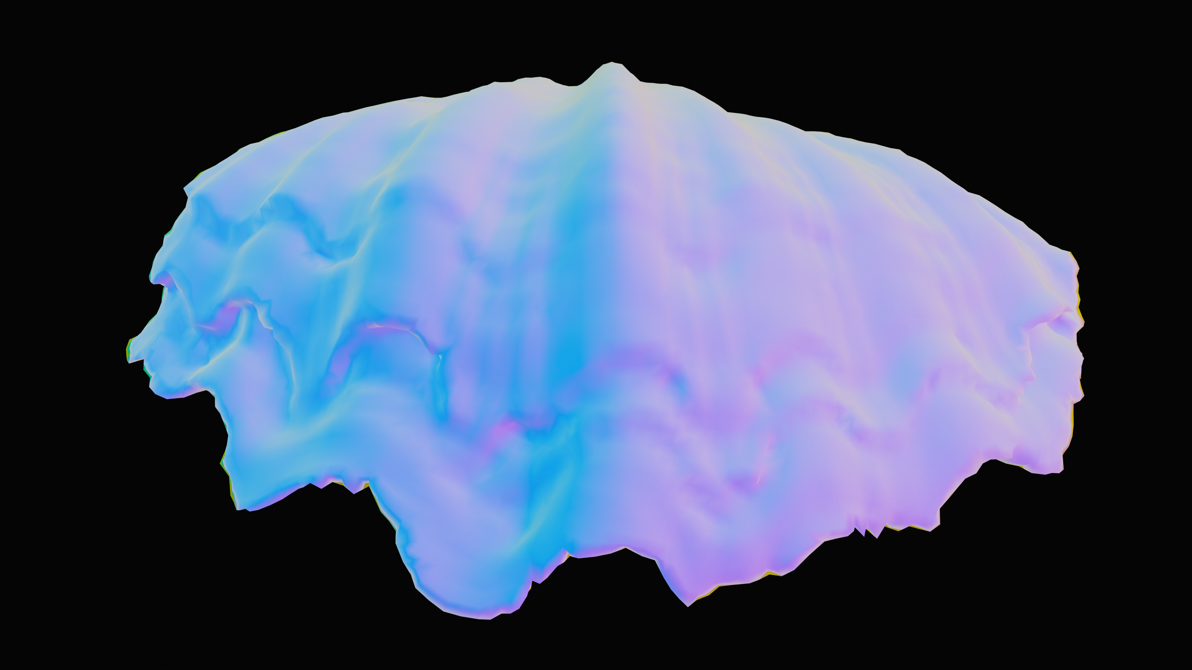 Shell bivalve sea 3D model - TurboSquid 1627521