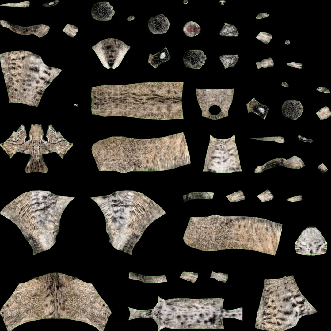 3d Bobcat Fur Lynx Rufus Model